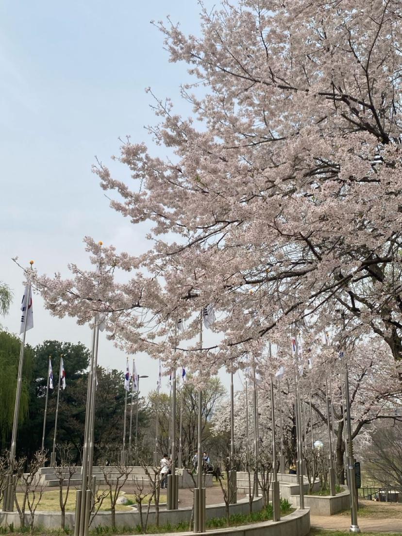 육아크루 우리 동네 육아 정보 육아 지원과 혜택 공동육아 모임 동네 육아맘 커뮤니티까지