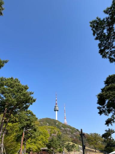 용산구 육아종합지원센터 육아크루 우리 동네 육아 정보